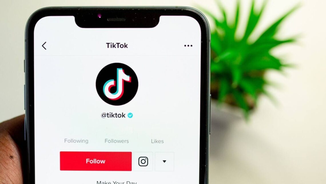 Arti Babayo Tiktok Dalam Bahasa Gaul Yang Sedang Viral