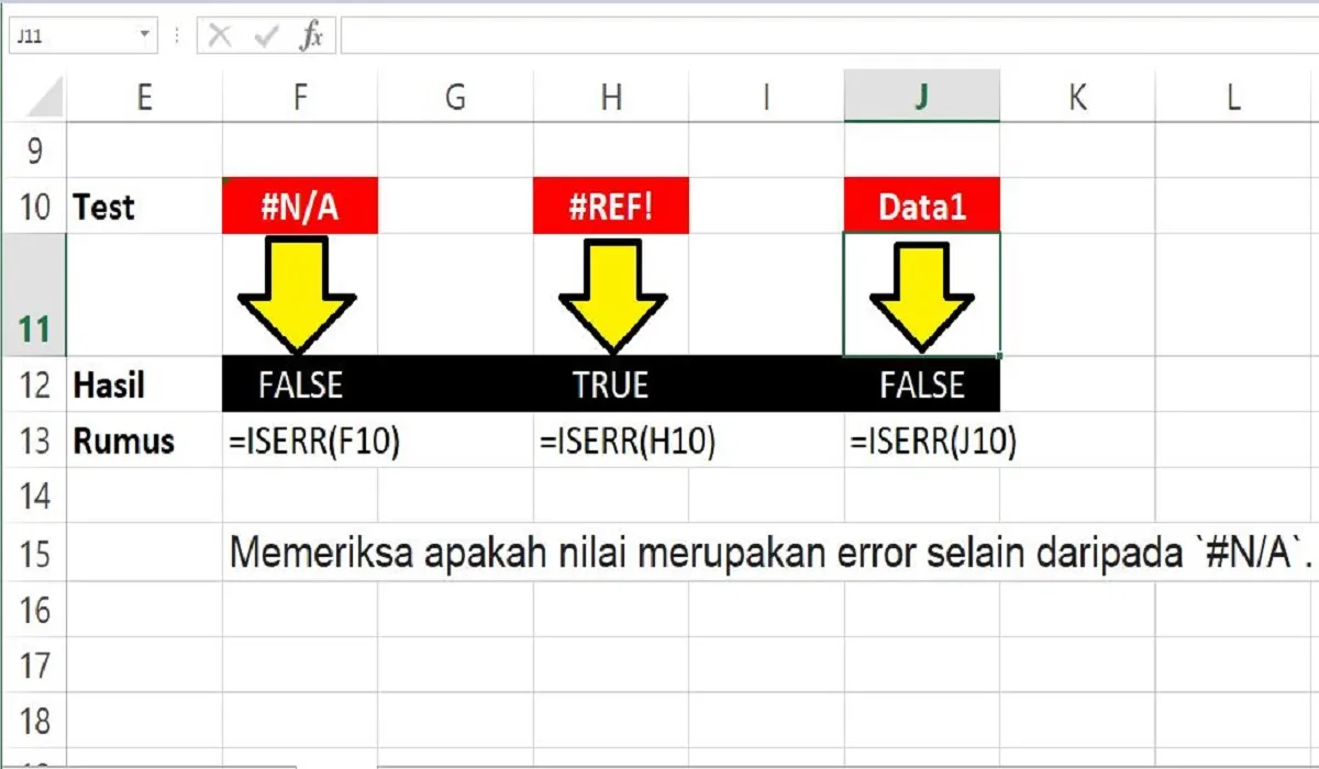 Cara Menggunakan Rumus ISERR Di Excel, Memeriksa Nilai Yang ERROR ...